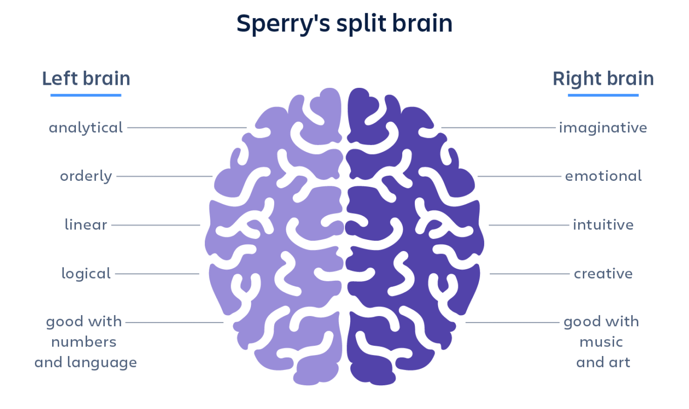 Left brain vs. right brain: fact or fiction? - Inside Atlassian