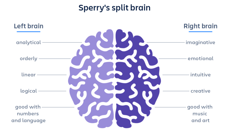 Left brain vs. right brain: fact or fiction? - Work Life by Atlassian