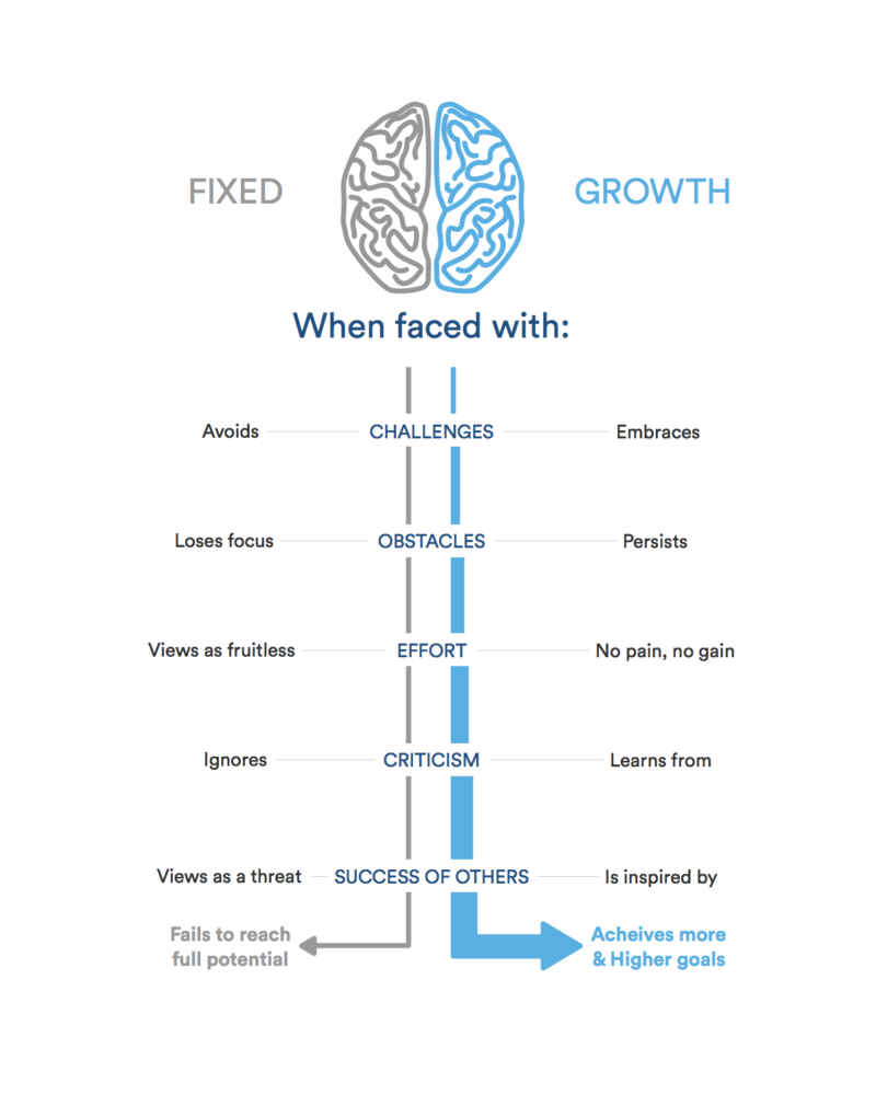A developer's thoughts on maintaining focus with the growth mindset