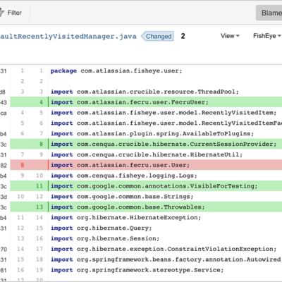 Fisheye - Atlassian Blog